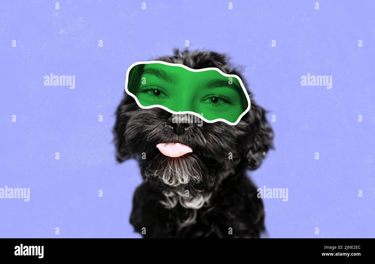 Magazine style collage with happy cute dog with female eyes expressing ...