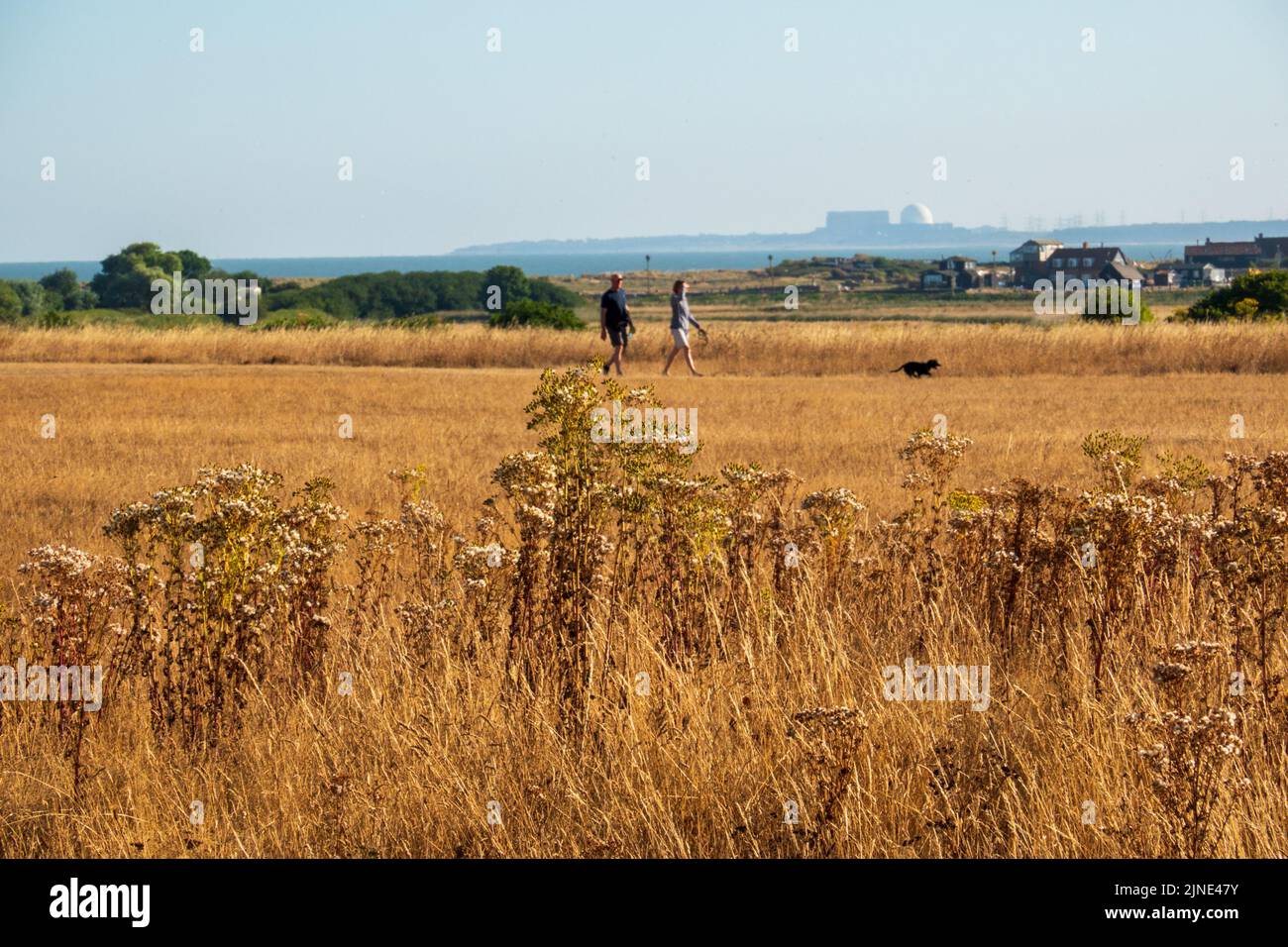 Southwold the common Stock Photo - Alamy