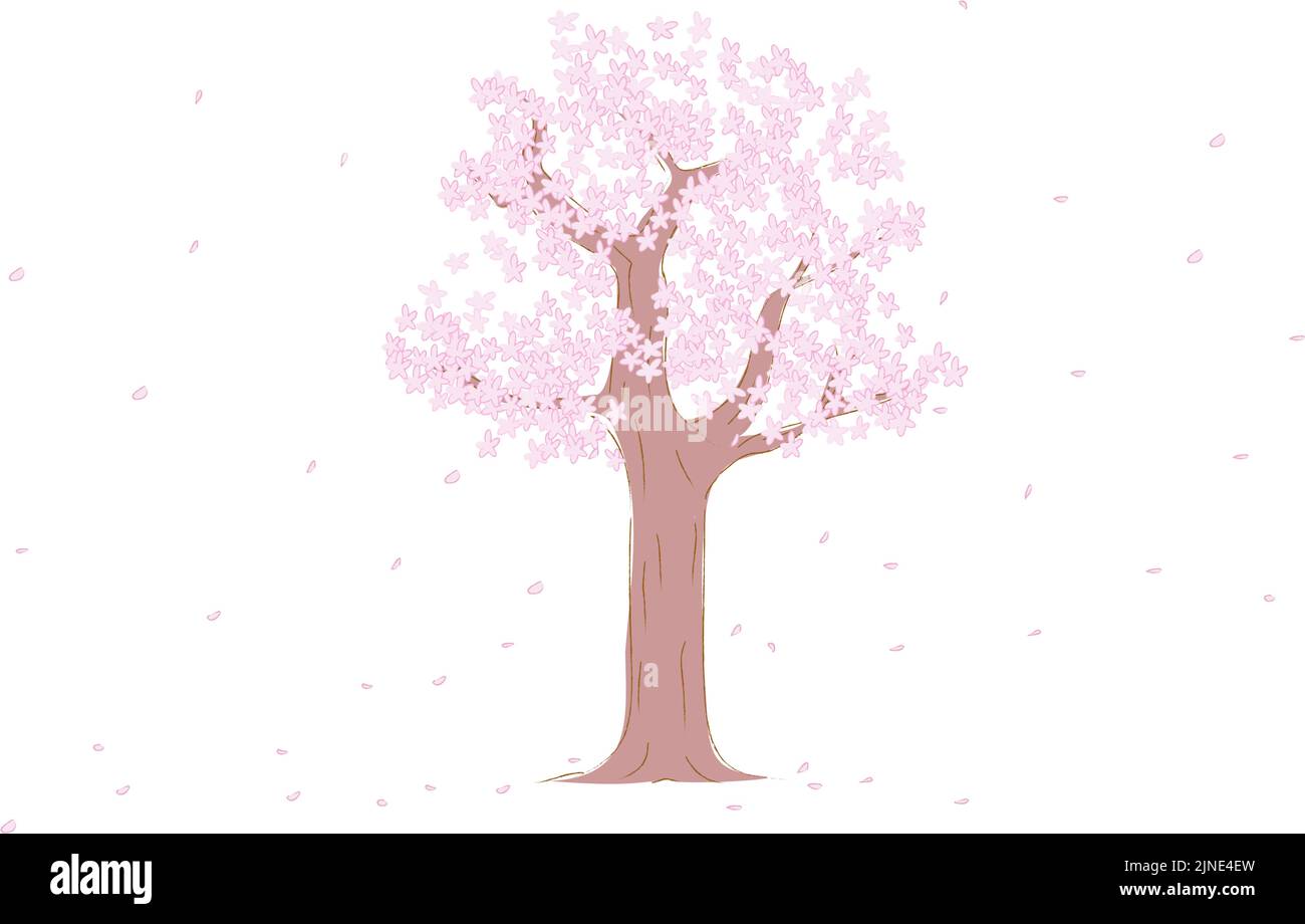 Yoshino cherry tree vector vectors hi-res stock photography and images ...