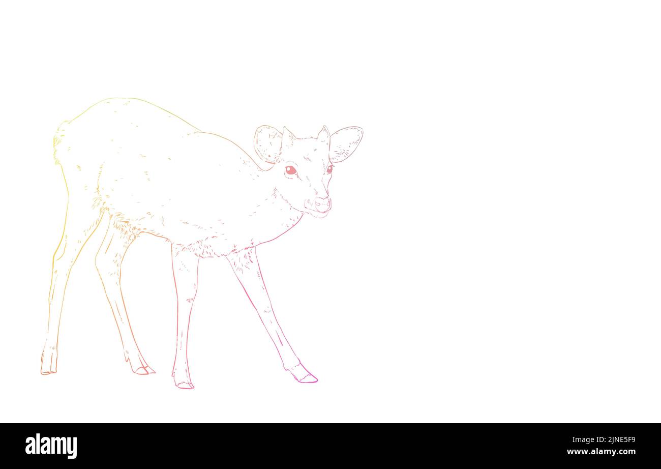 Realistic animal illustration, rainbow-colored fawn standing up Stock ...