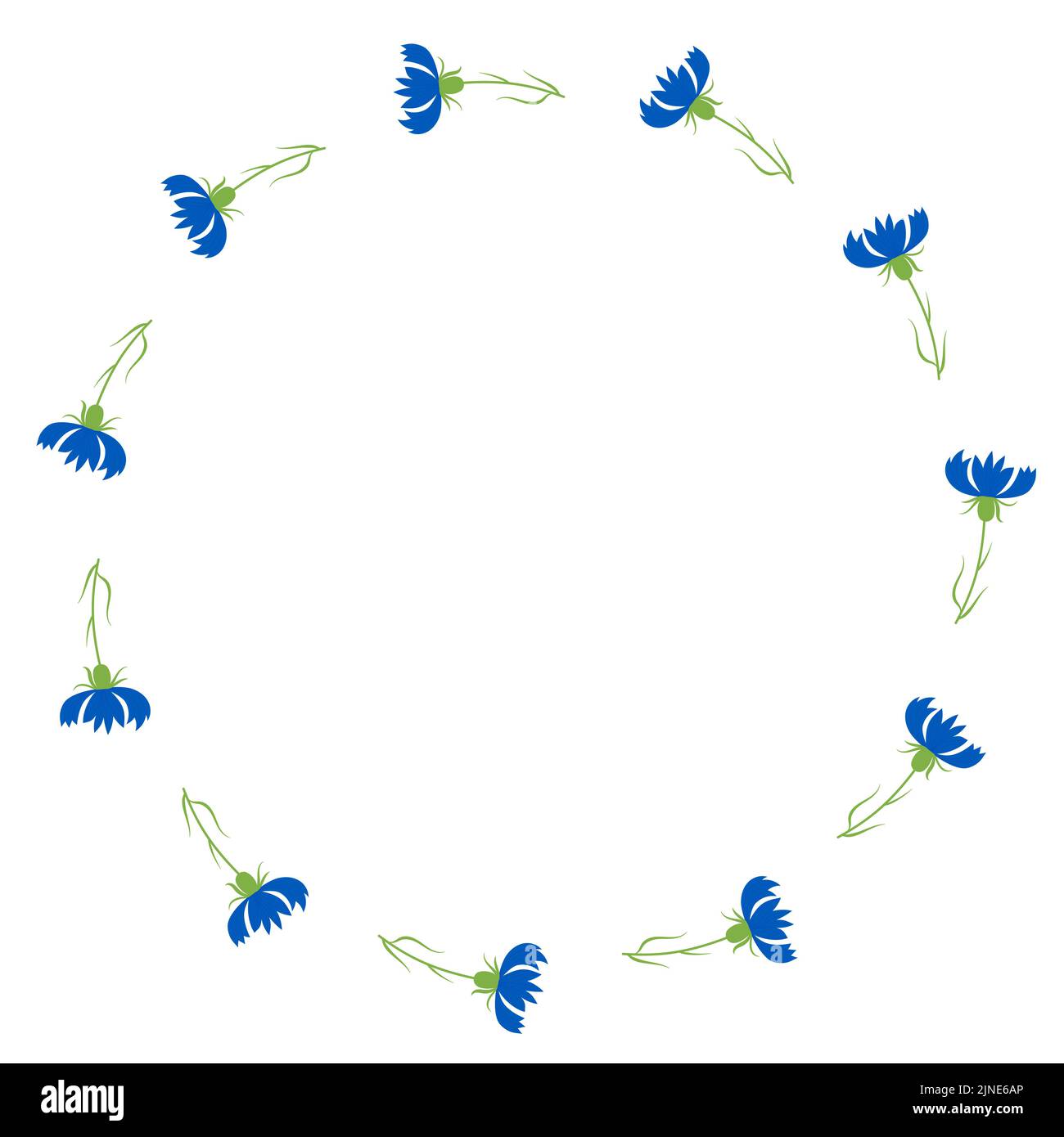 Garden border with cornflowers Stock Vector Images - Alamy