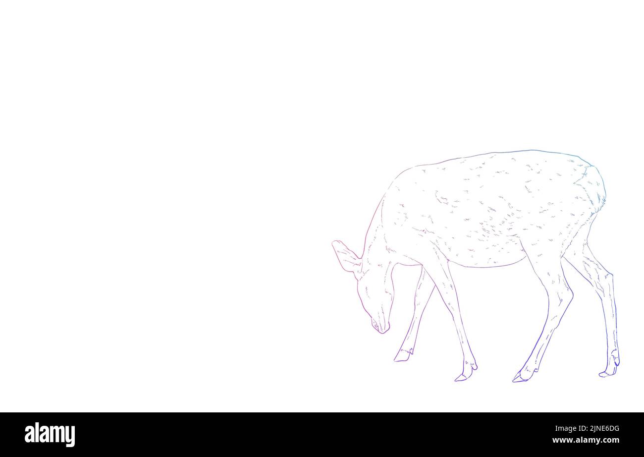 How To Draw A Deer Eating Grass