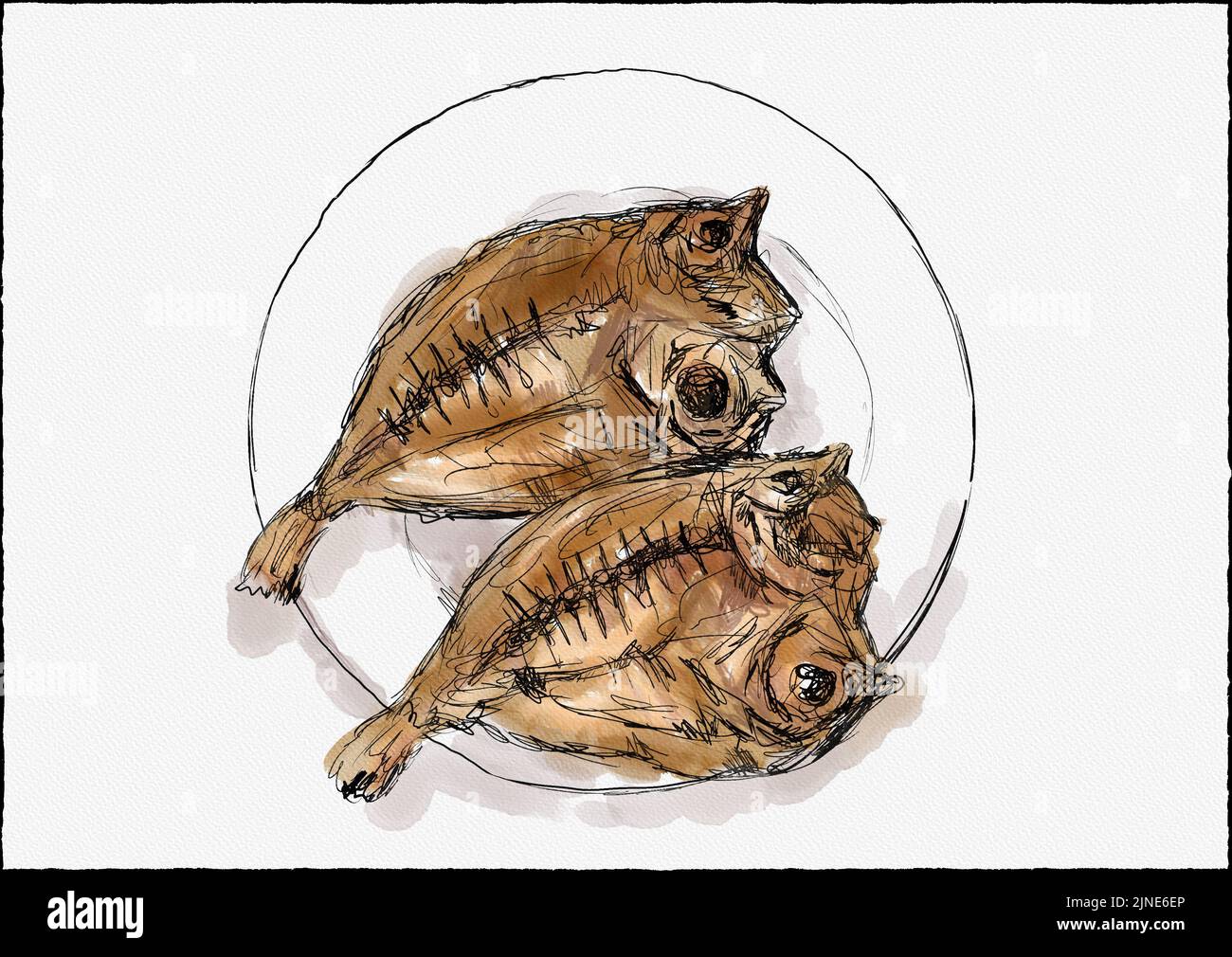 Pen and ink watercolor painting of fried katambak or dried sweetlip ...