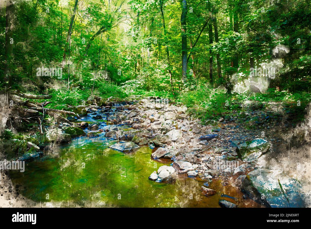 Serene golden light Stock Vector Images - Alamy