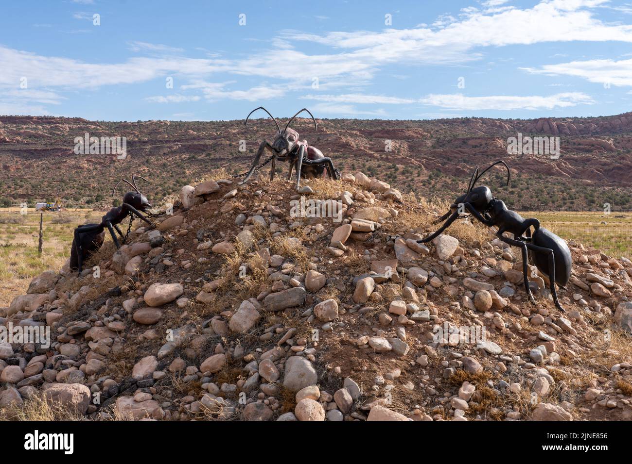 Giant metal ant sculptures, about 6 feet long, on a mound of dirt and ...