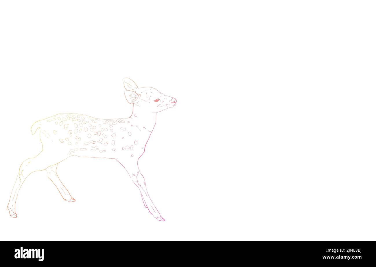 Realistic animal illustration, rainbow-colored deer side view Stock ...