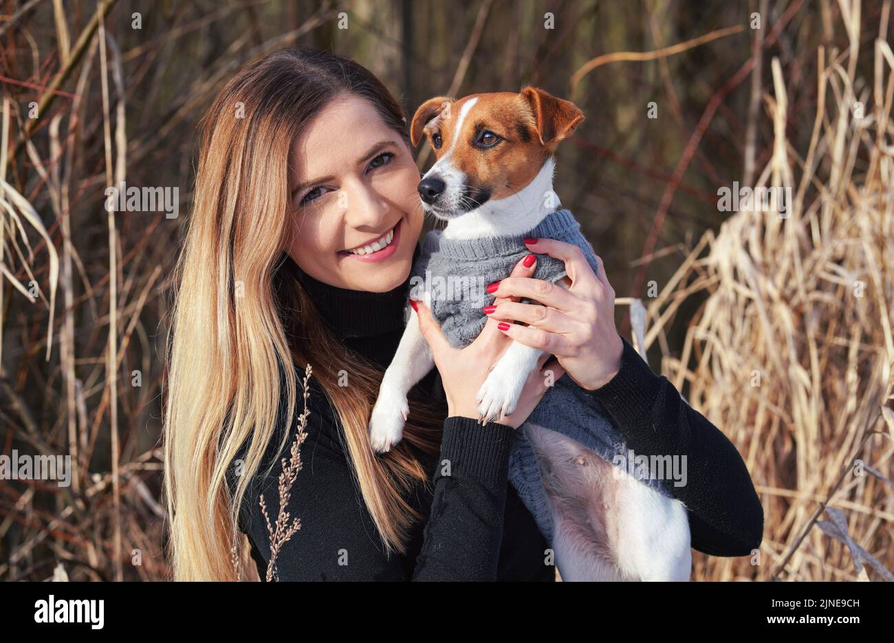 Jack russell dog wearing coat hi-res stock photography and images - Alamy
