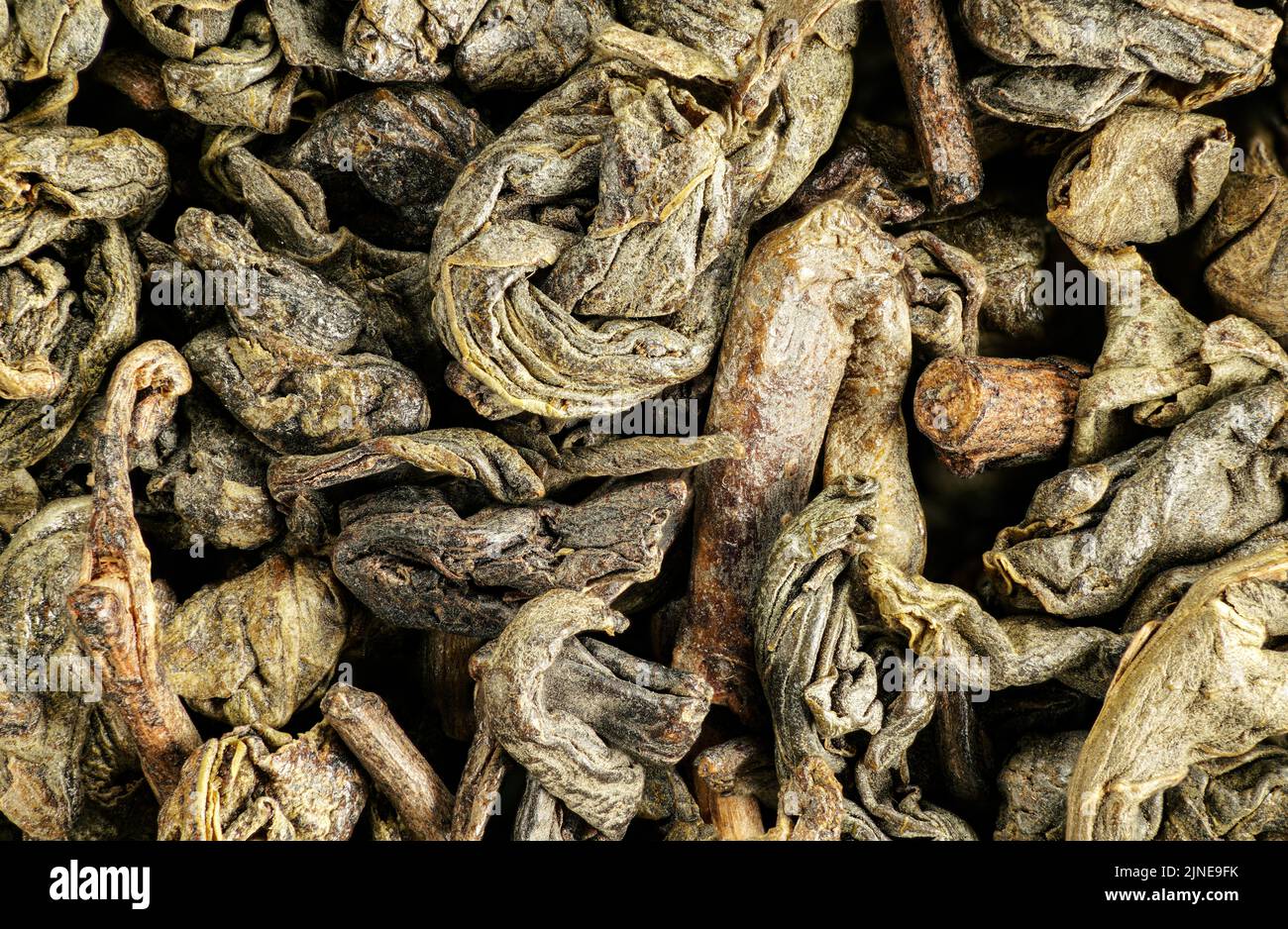 Green tea, dry leaves detail under microscope Stock Photo - Alamy