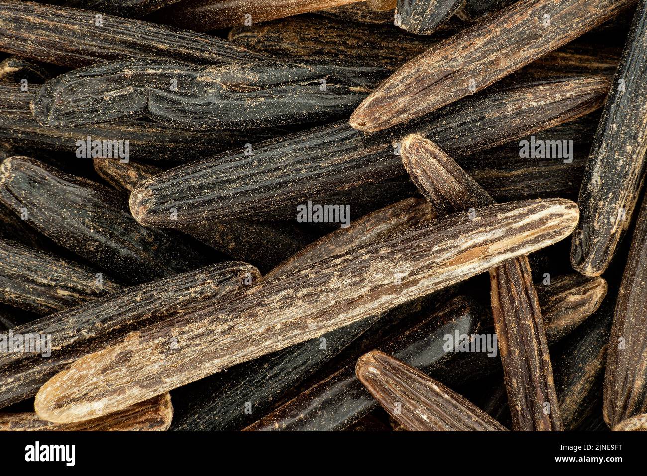Brown wholegrain rice under microscope, image width 15mm Stock Photo ...