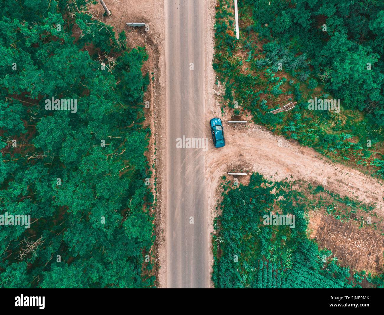 Car parked between trees hi-res stock photography and images - Alamy