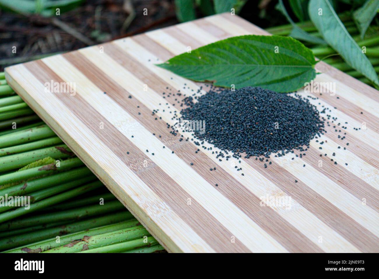 Jute seed hi-res stock photography and images - Alamy