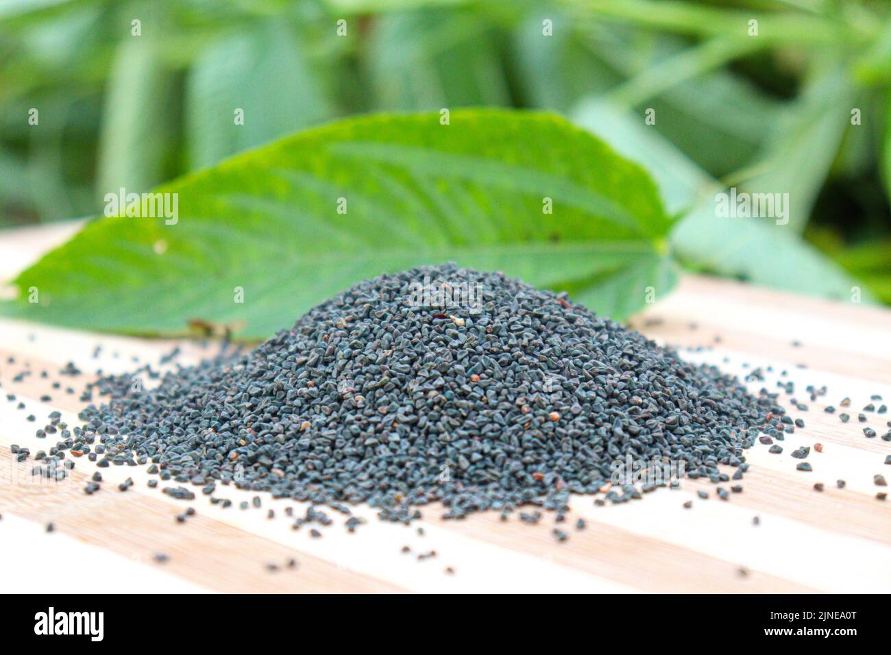 Jute seed hi-res stock photography and images - Alamy