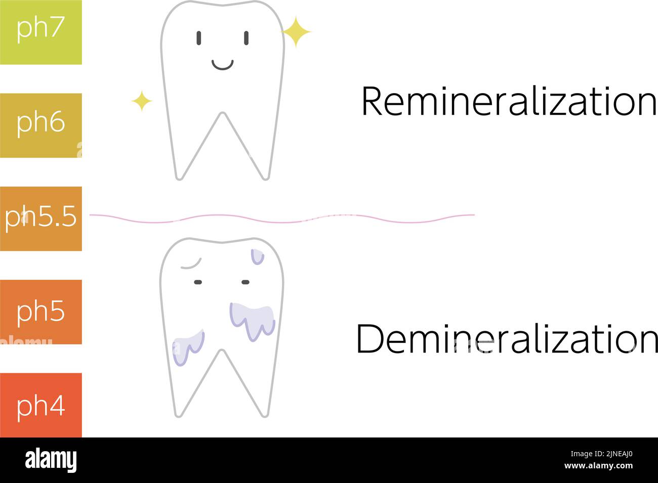 Image illustration of pH value of remineralization and demineralization ...