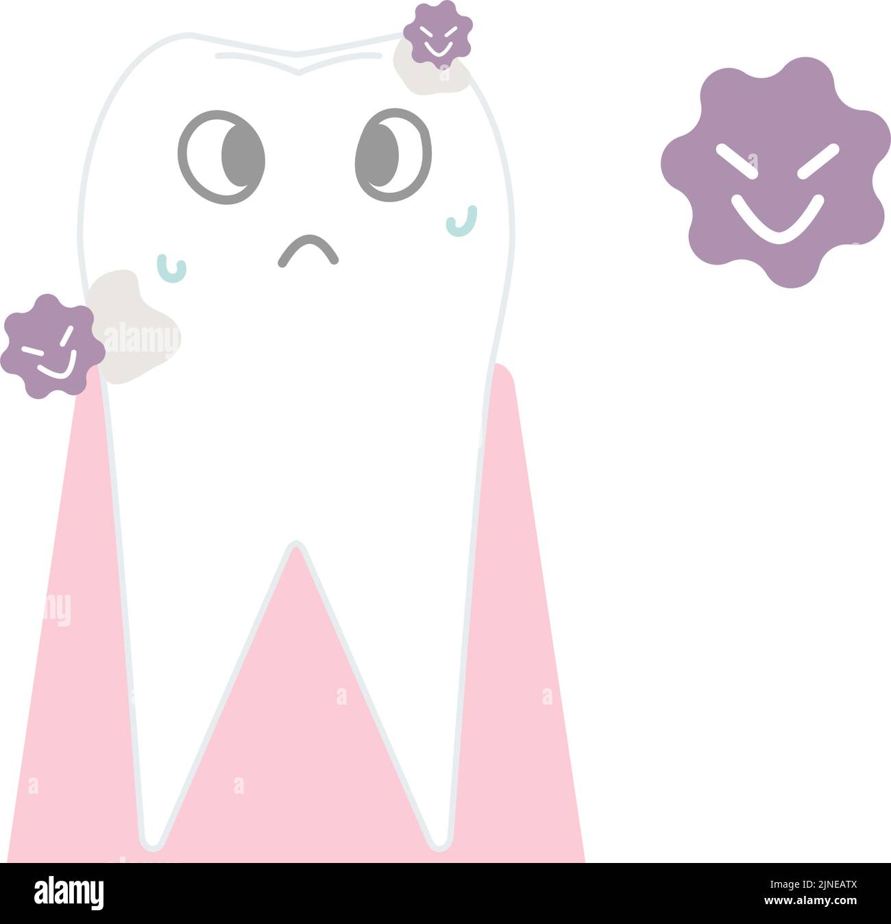 Dental caries cross section hi-res stock photography and images - Alamy