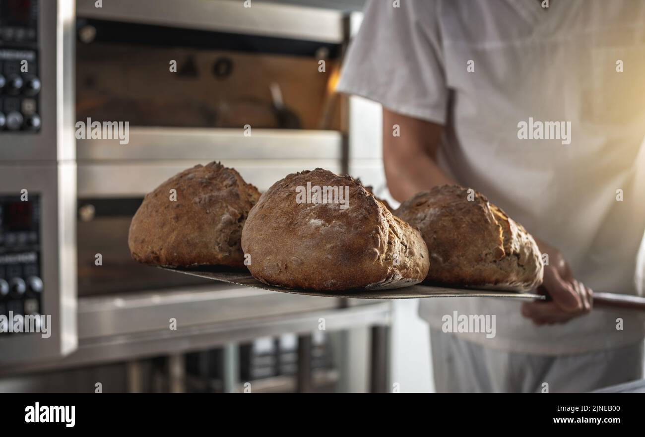 The baker is a man in the process of baking bread. Production of bakery ...
