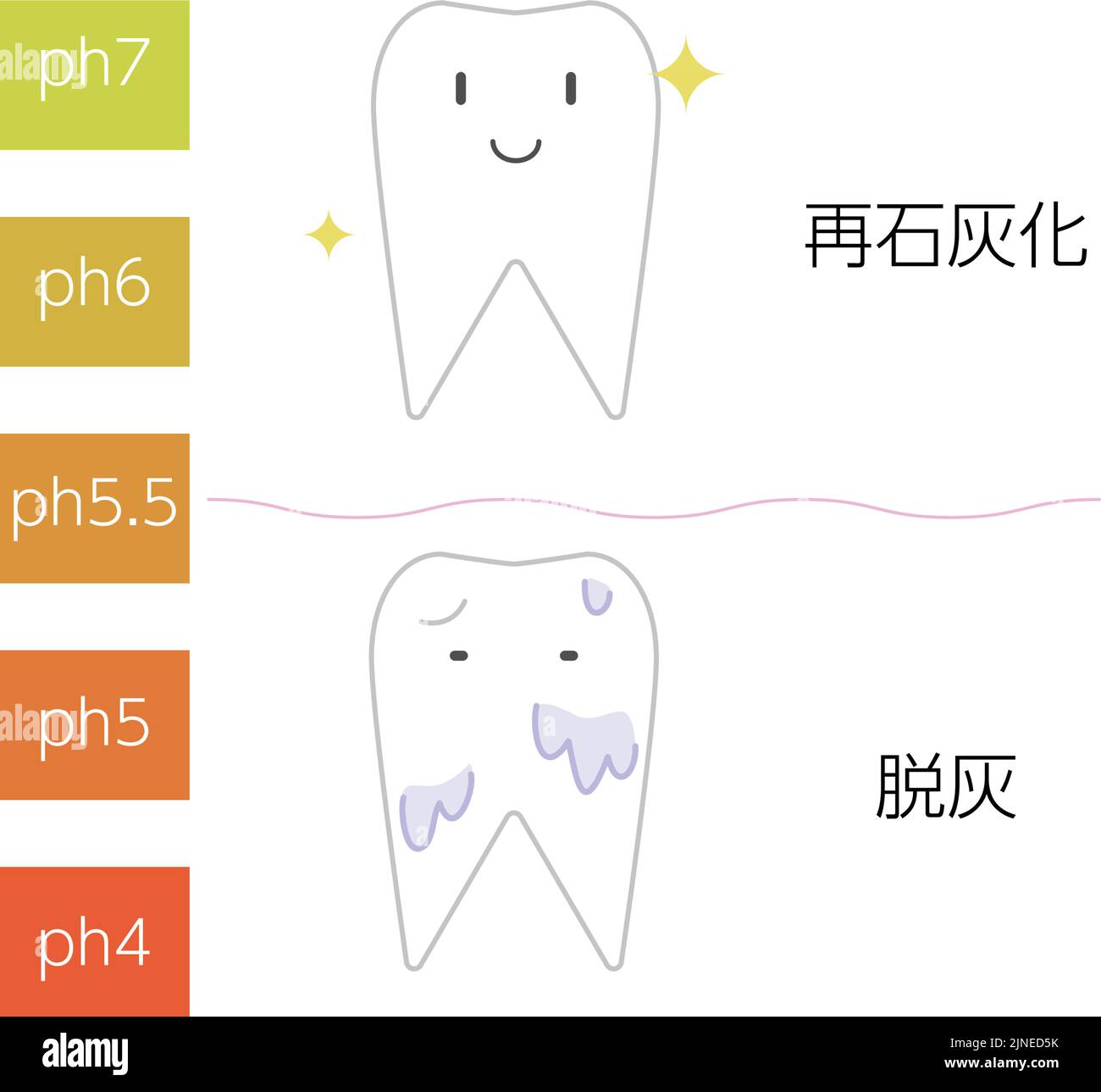 Image illustration of pH value of remineralization and demineralization ...