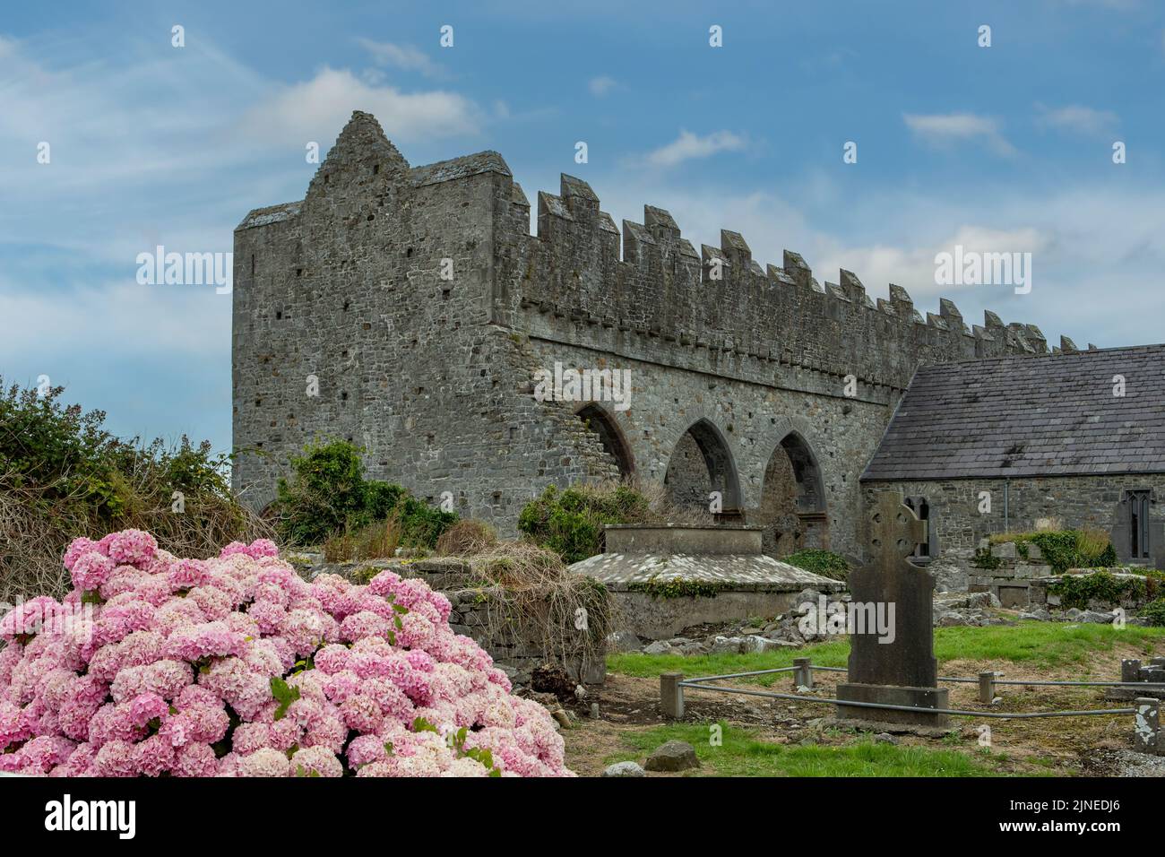 Ruins of Ardfert Cathedral, Ardfert, Co. Kerry, Ireland Stock Photo - Alamy