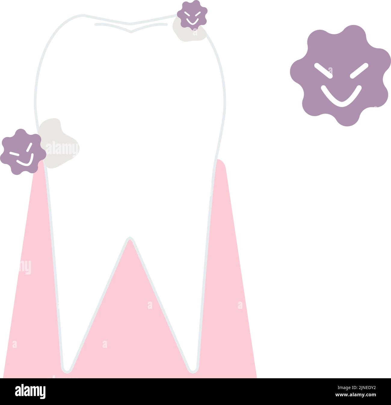 Dental caries cross section hi-res stock photography and images - Alamy