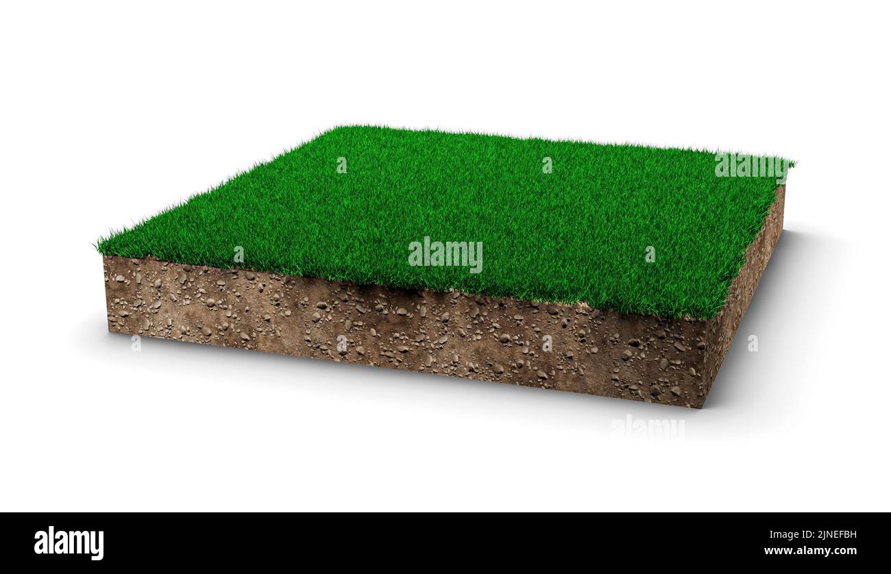 A 3D rendering of a square of green grass field isolated on white ...
