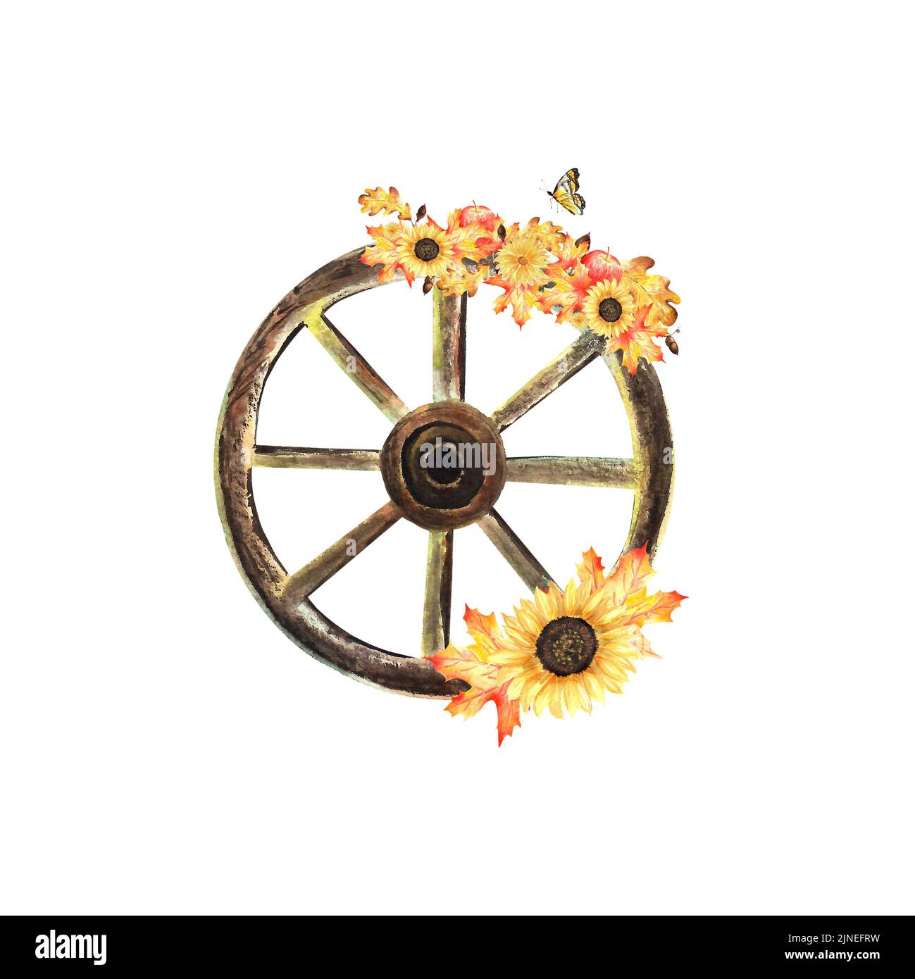 An old wooden wheel with flowers. An autumn garden composition. A set ...