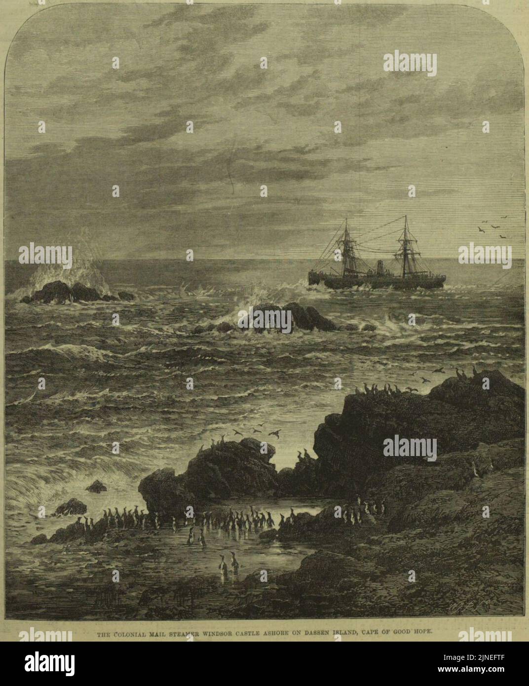 The Colonial Mail Steamer Windsor Castle ashore on Dassen Island, Cape ...
