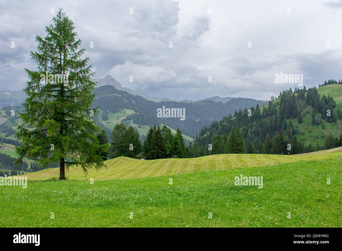 An aerial view of meadow in background of greenery huge mountains in ...