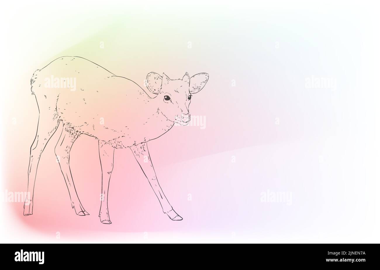 Realistic animal illustrations: iridescent background: a fawn standing ...
