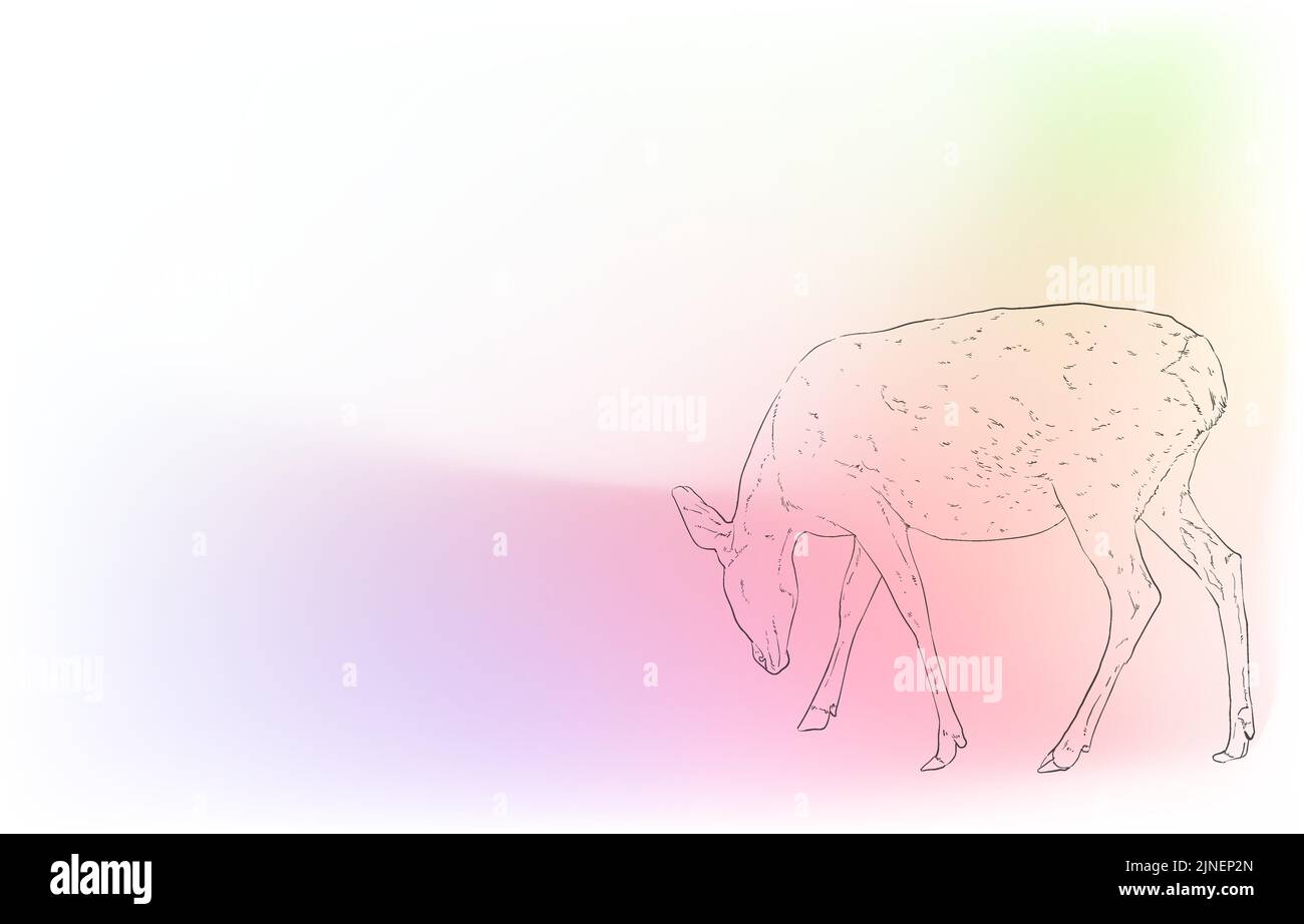 Realistic animal illustration: iridescent background: a doe looking at ...