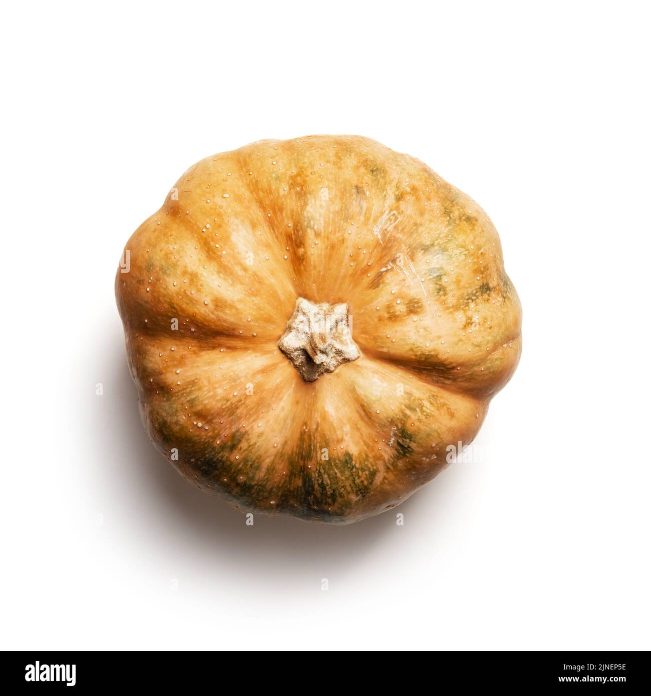 Orange pumpkin isolated on white background. Food photography ...