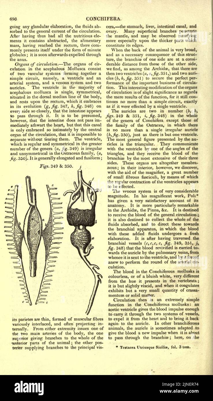 Cyclopædia of anatomy hi-res stock photography and images - Alamy
