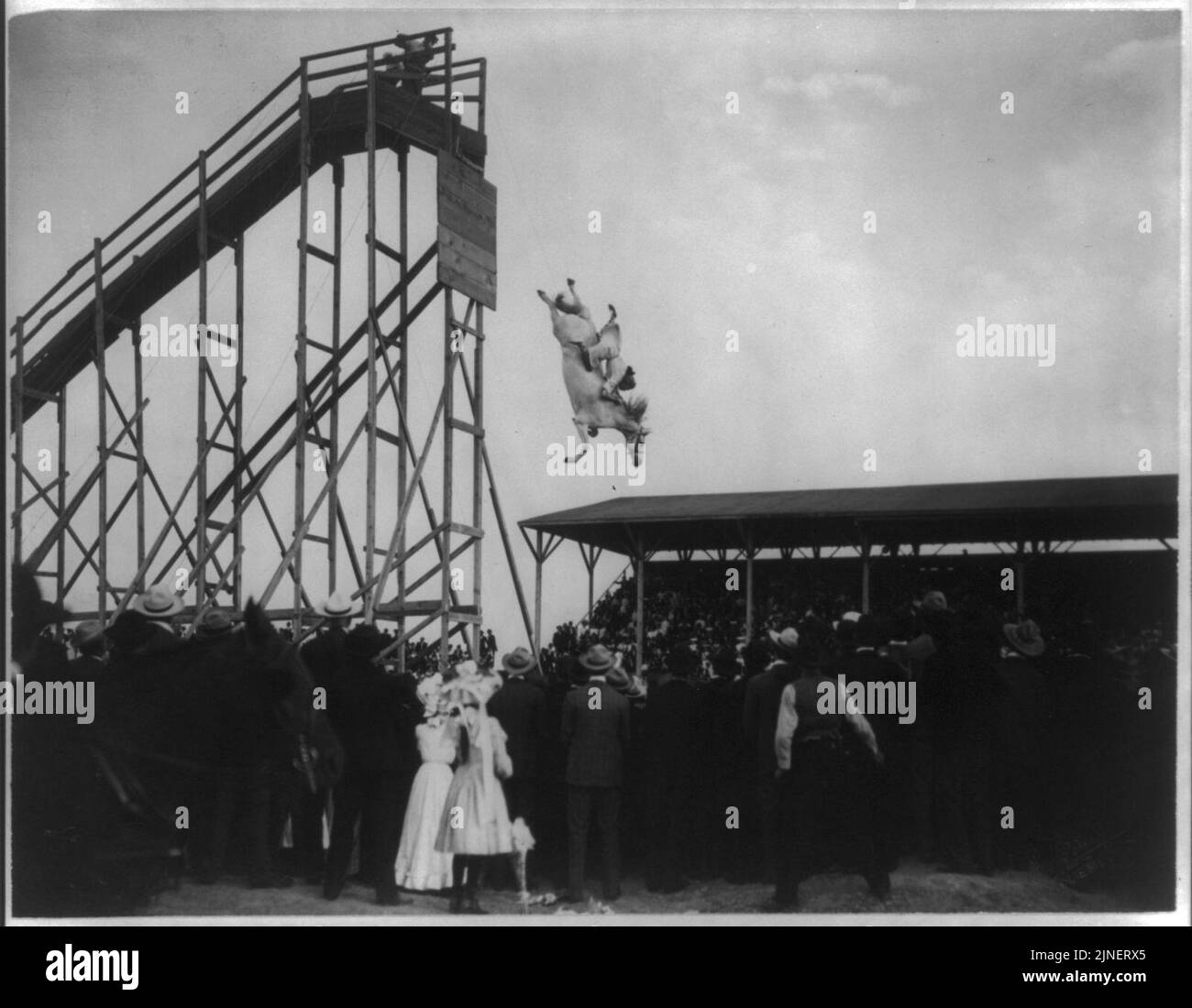 The daring ride of Mrs. Eunice (Winkless) Padfield, July 4th 1905 Stock ...