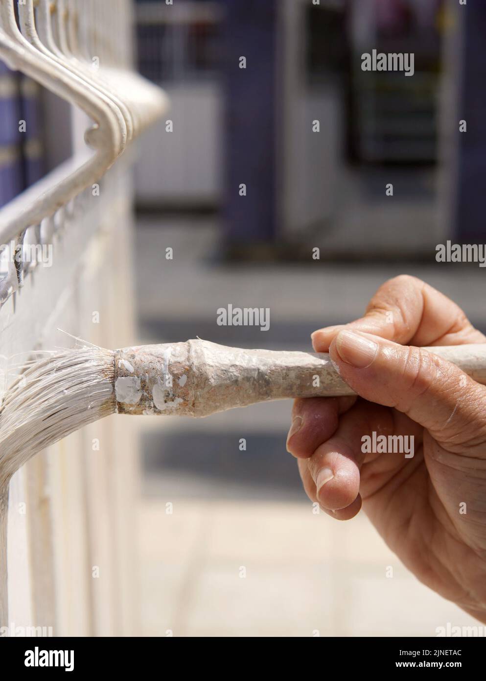 Elder paint hi-res stock photography and images - Alamy