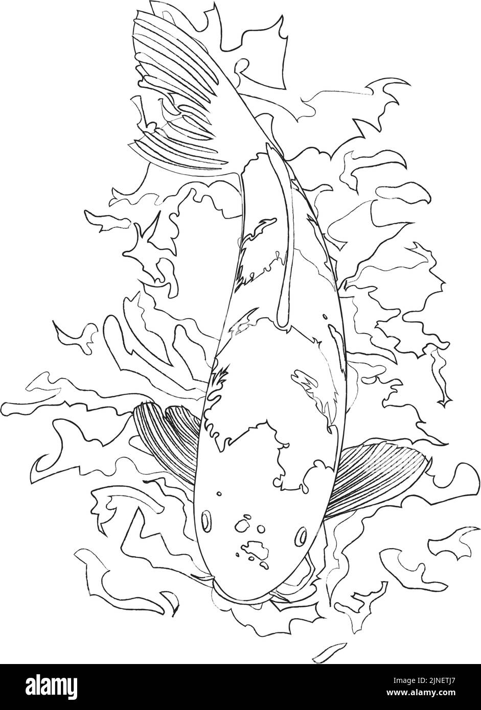 Illustration of carp swimming: line only, no color Stock Vector Image ...