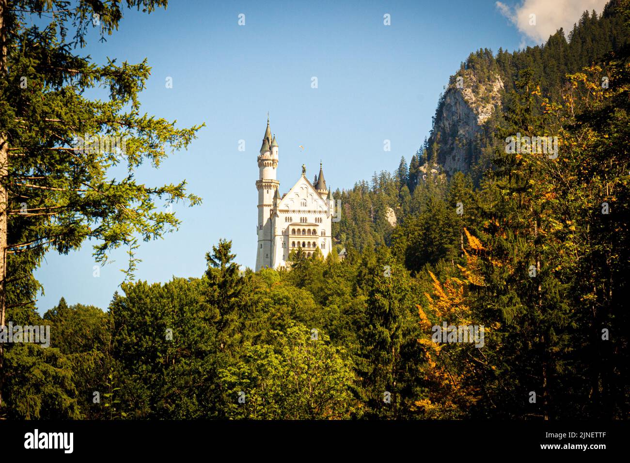 A stunning view of the Neuschwanstein Castle on the hill in Germany ...