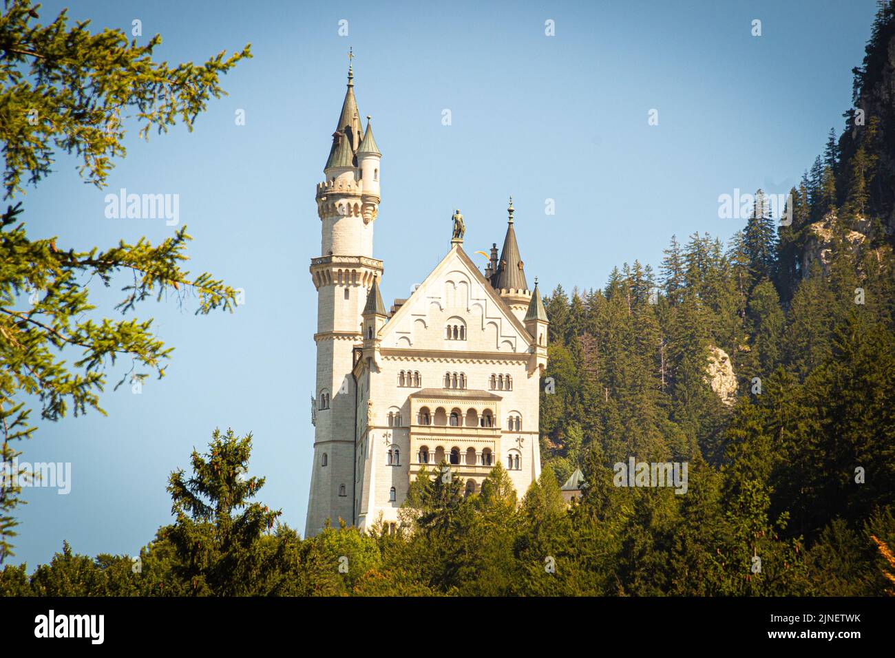 A stunning view of the Neuschwanstein Castle on the hill in Germany ...