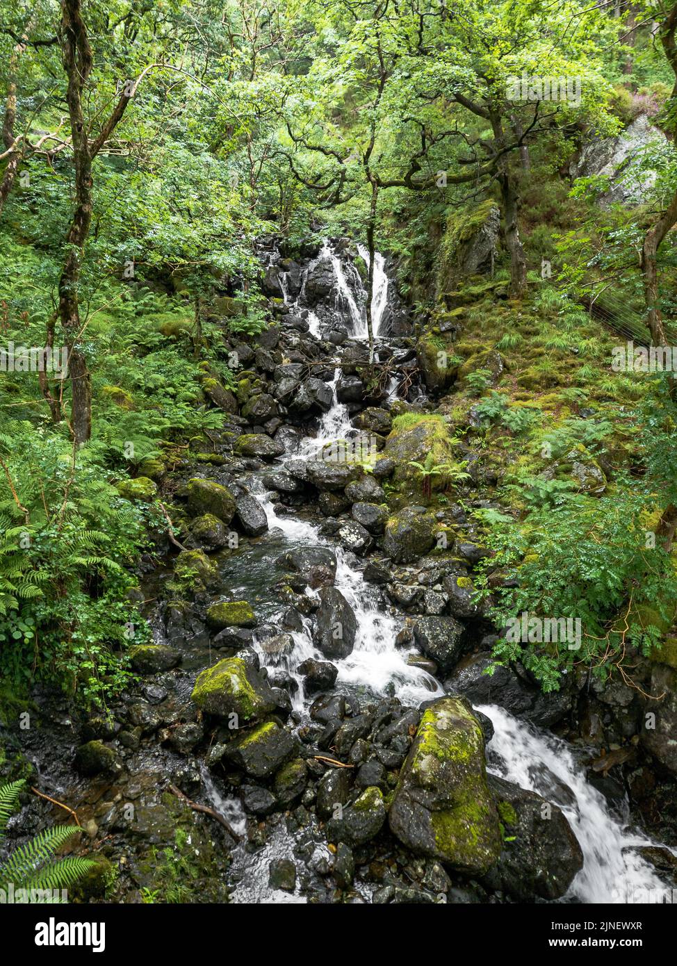 Waterfalls along the way while climbing the hill Penygader (Dolgellau ...