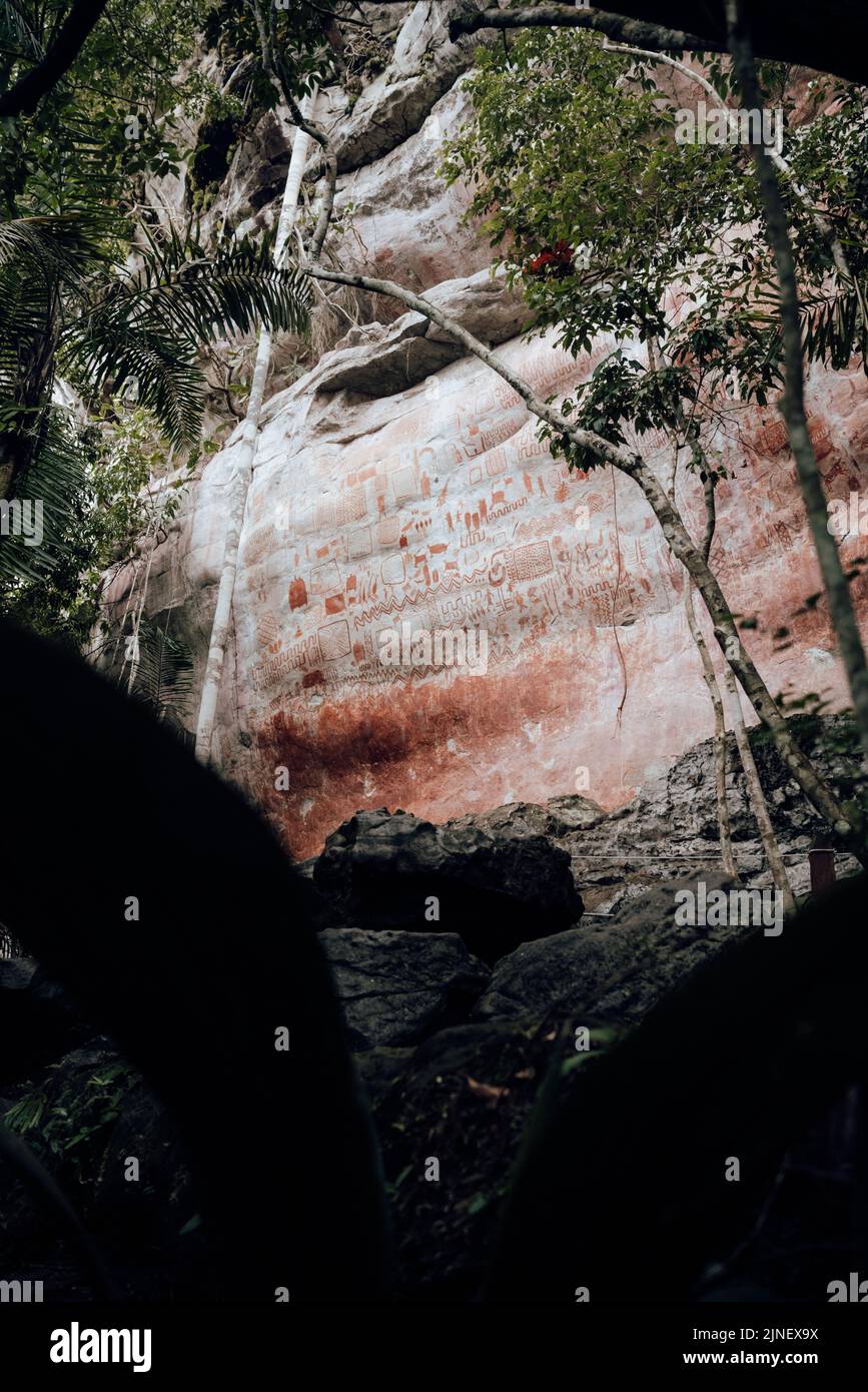 A low-angle view of scenic wall with prehistoric rock art in the Amazon ...