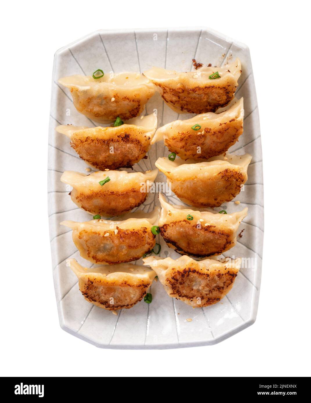 Taiwanese and Japanese Pan-fried gyoza dumpling jiaozi food in a plate isolated on white ...