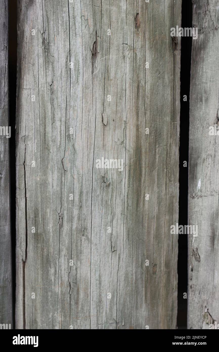 Full frame view of rustic wooden poles serving as a fence Stock Photo ...