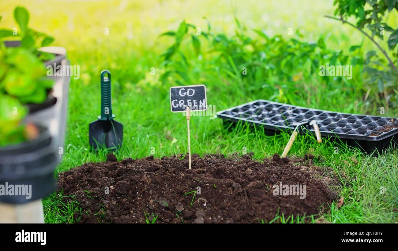Board with go green lettering in soil near gardening tools and grass in ...