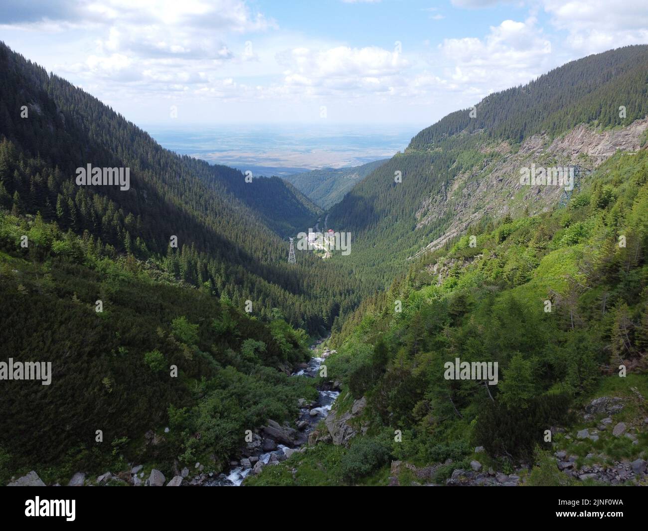 An aerial view of a dense forested valley with a tiny narrow creek ...