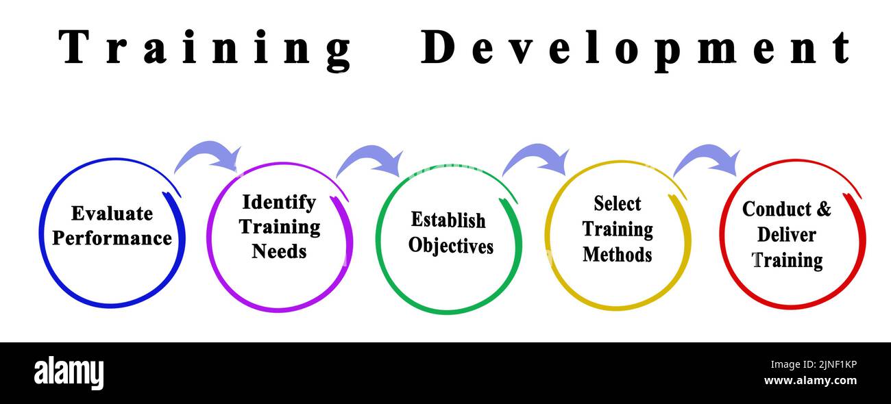 Five stages of training development Stock Photo - Alamy