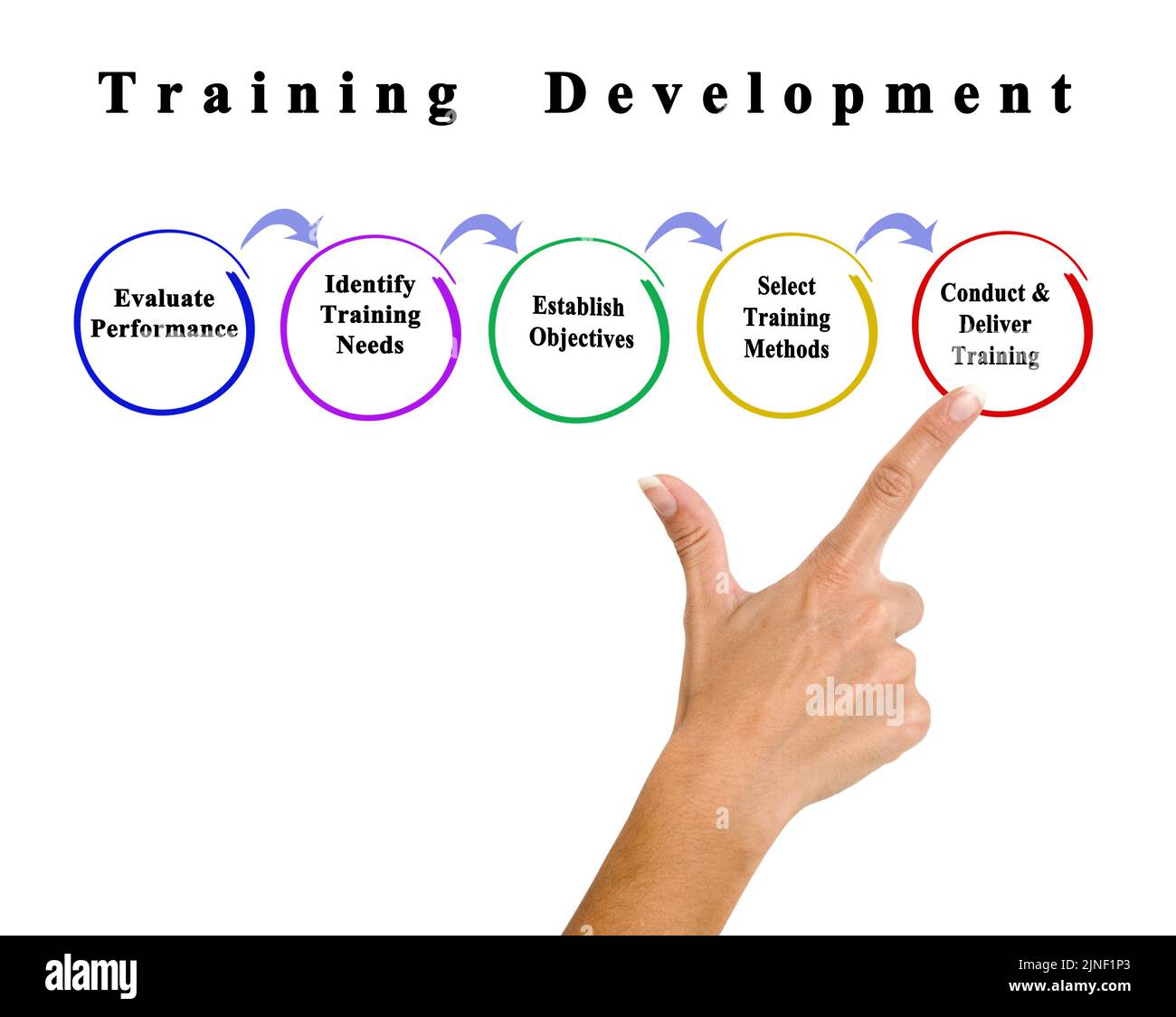 Five stages of training development Stock Photo - Alamy