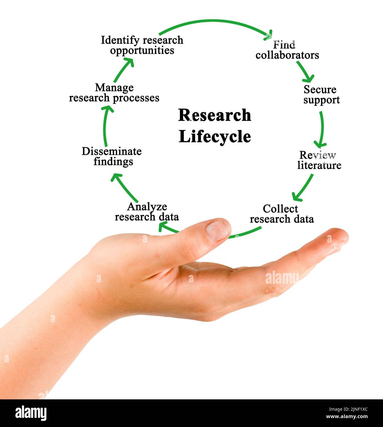 Eight Components of Research Lifecycle Stock Photo - Alamy