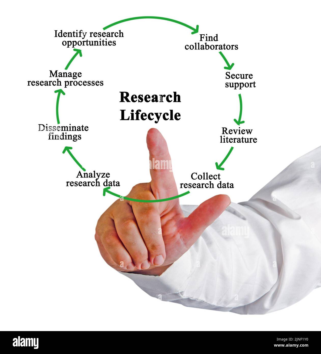Eight Components of Research Lifecycle Stock Photo - Alamy Eight Components of Research Lifecycle Stock Photo - Alamy