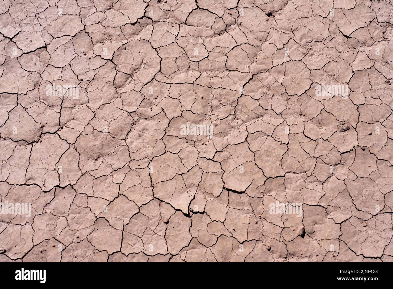 Dry cracked mud in the Atacama Desert near Lican, Chile Stock Photo - Alamy