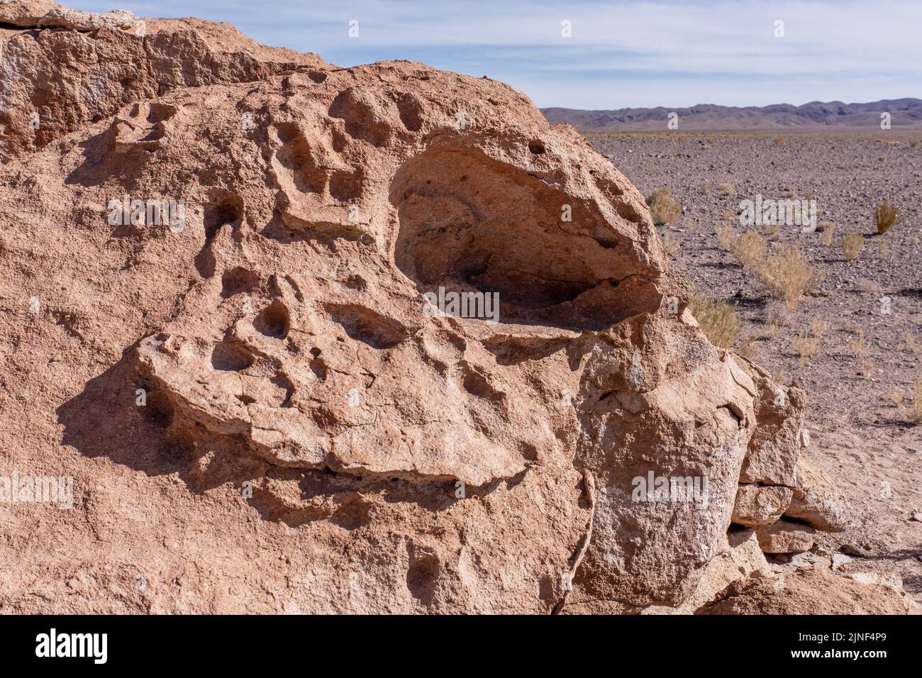 Natural erosion patterns in the rock at the Yerbas Buenas Petroglyph ...