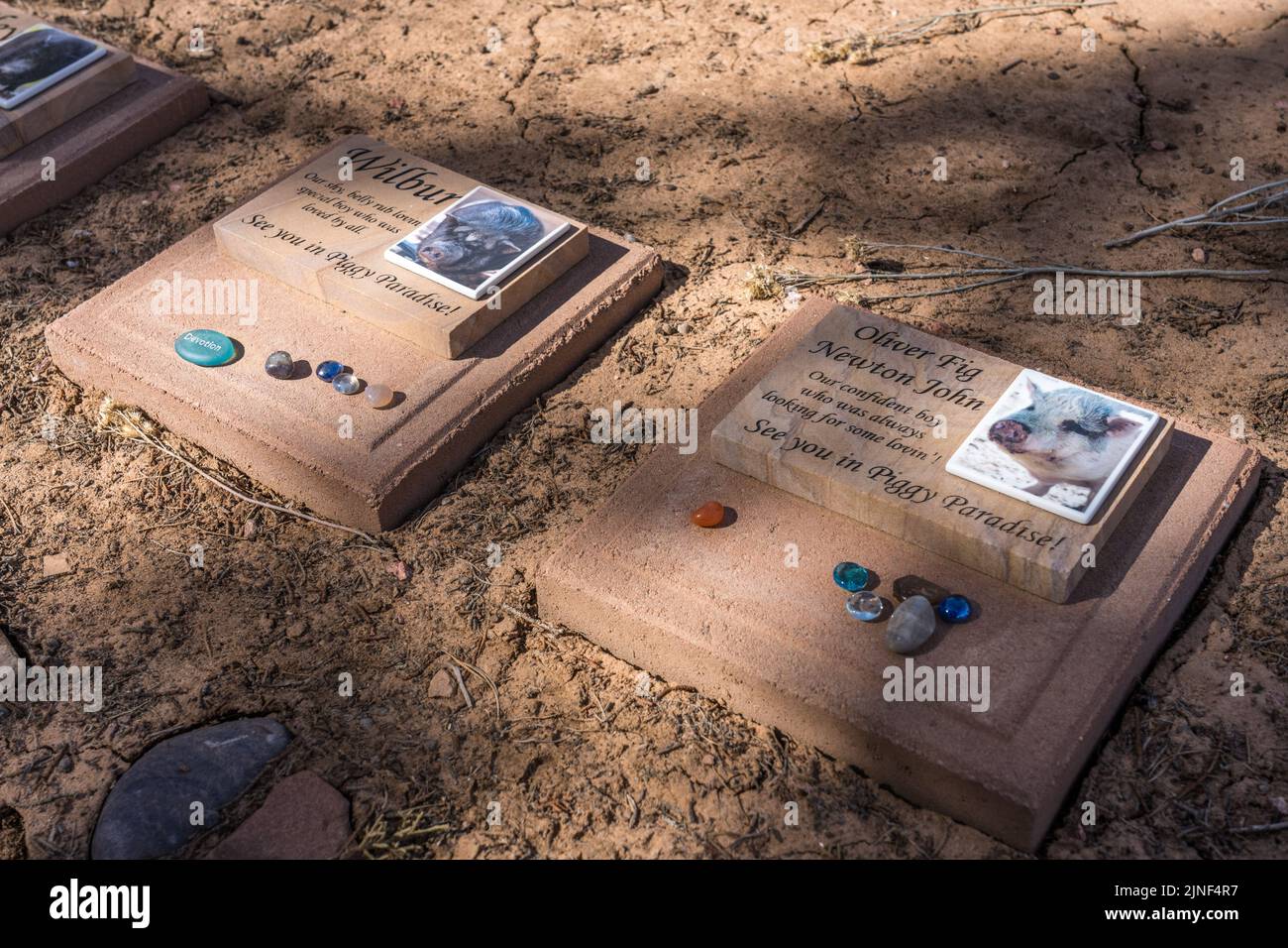 Angels rest pet memorial park hi-res stock photography and images - Alamy