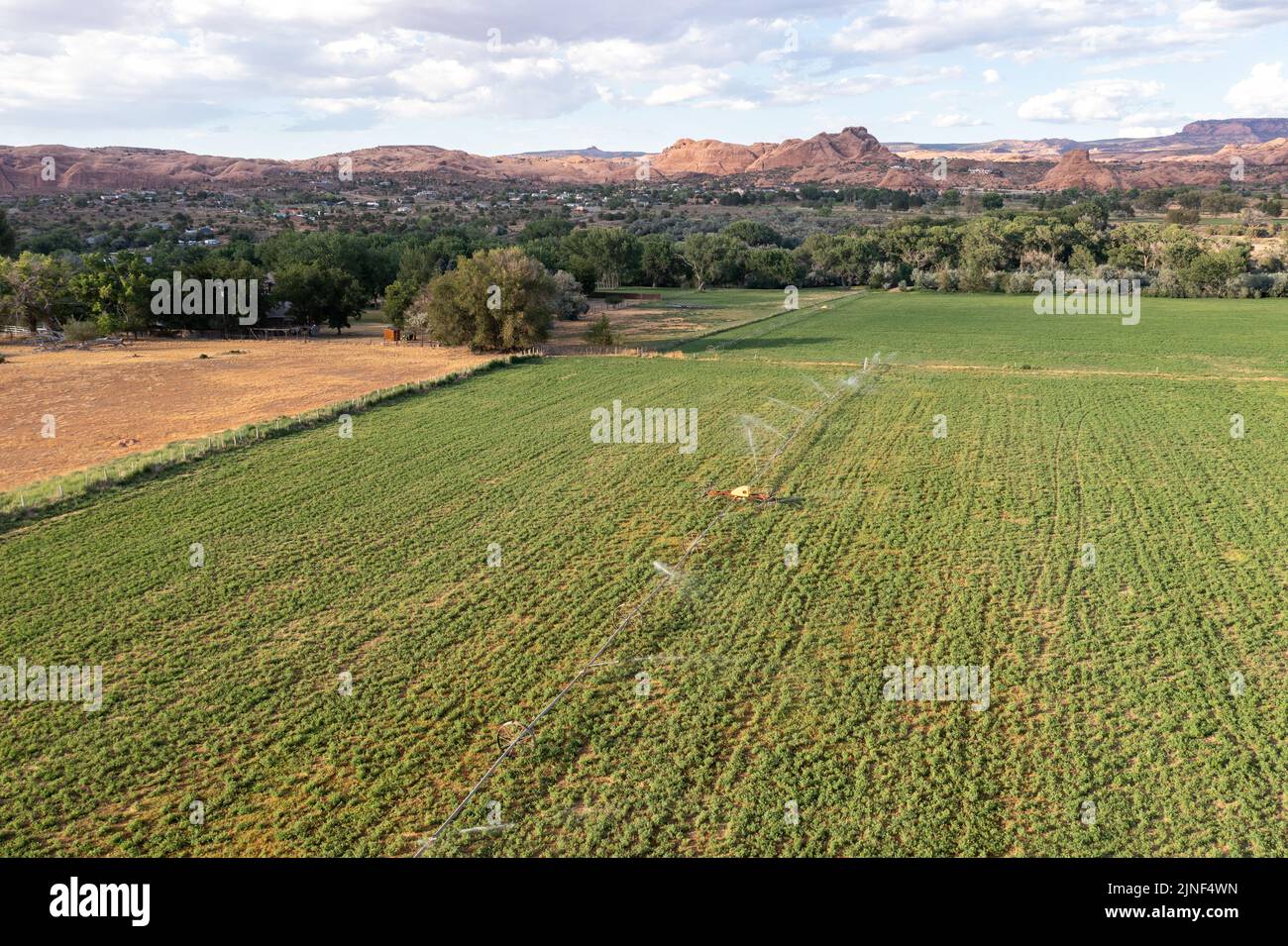 Aerial view of a wheel line or sideroll irrigation system watering a ...