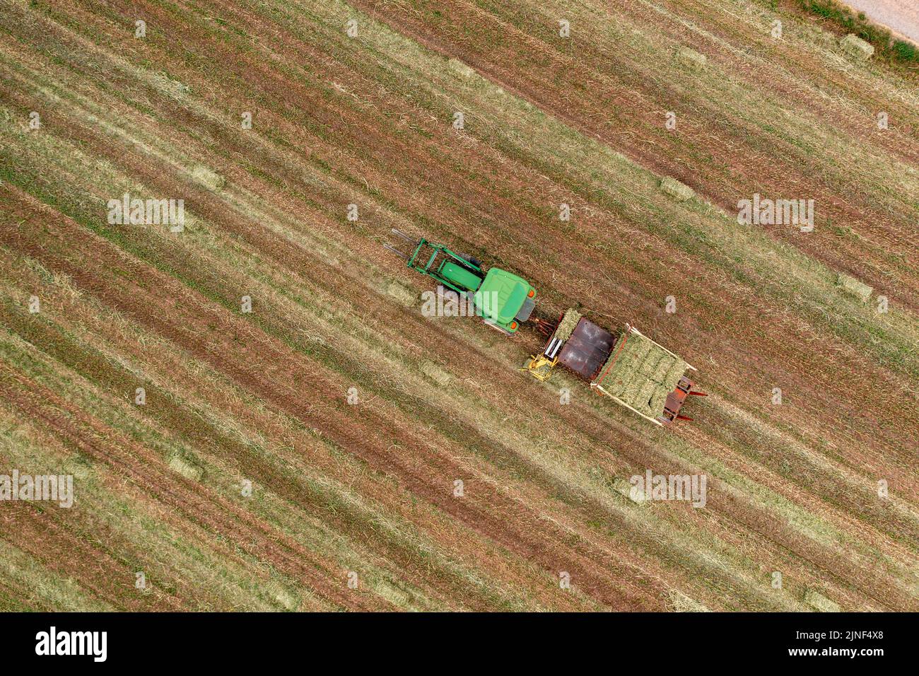 An aerial view of a rancher collecting hay bales with a tractor and a ...